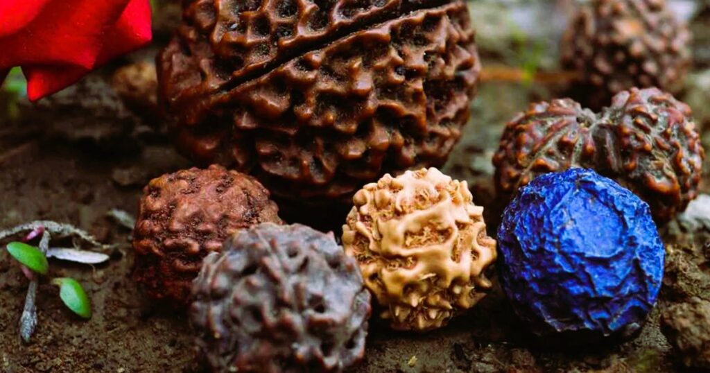 How to Identify a Genuine Rudraksha: Tips and Methods | Rudraksha World